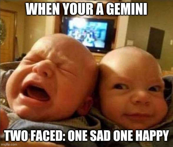 50 Best Gemini Memes That Describe This Zodiac Sign Yourtango